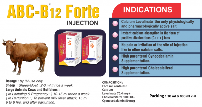 ABC B-12 Forte Injection – Albino Bio Chem